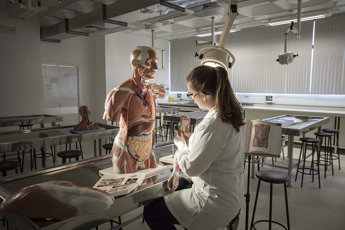 Univates - Programa de Incentivo às Licenciaturas